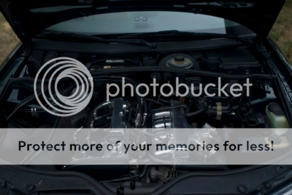 Exceptional Photographs of Passats - not pix of exceptional Passats ...