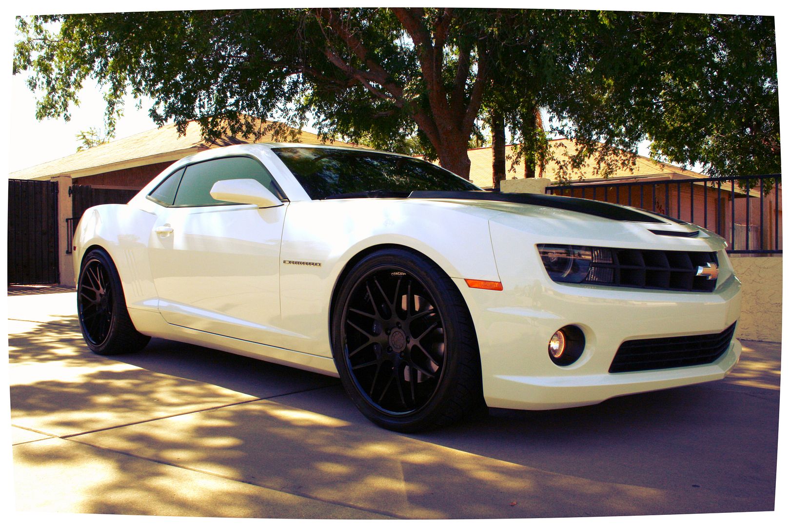 22" Vertini Magic's with Pfadt drop - Camaro5 Chevy Camaro Forum ...